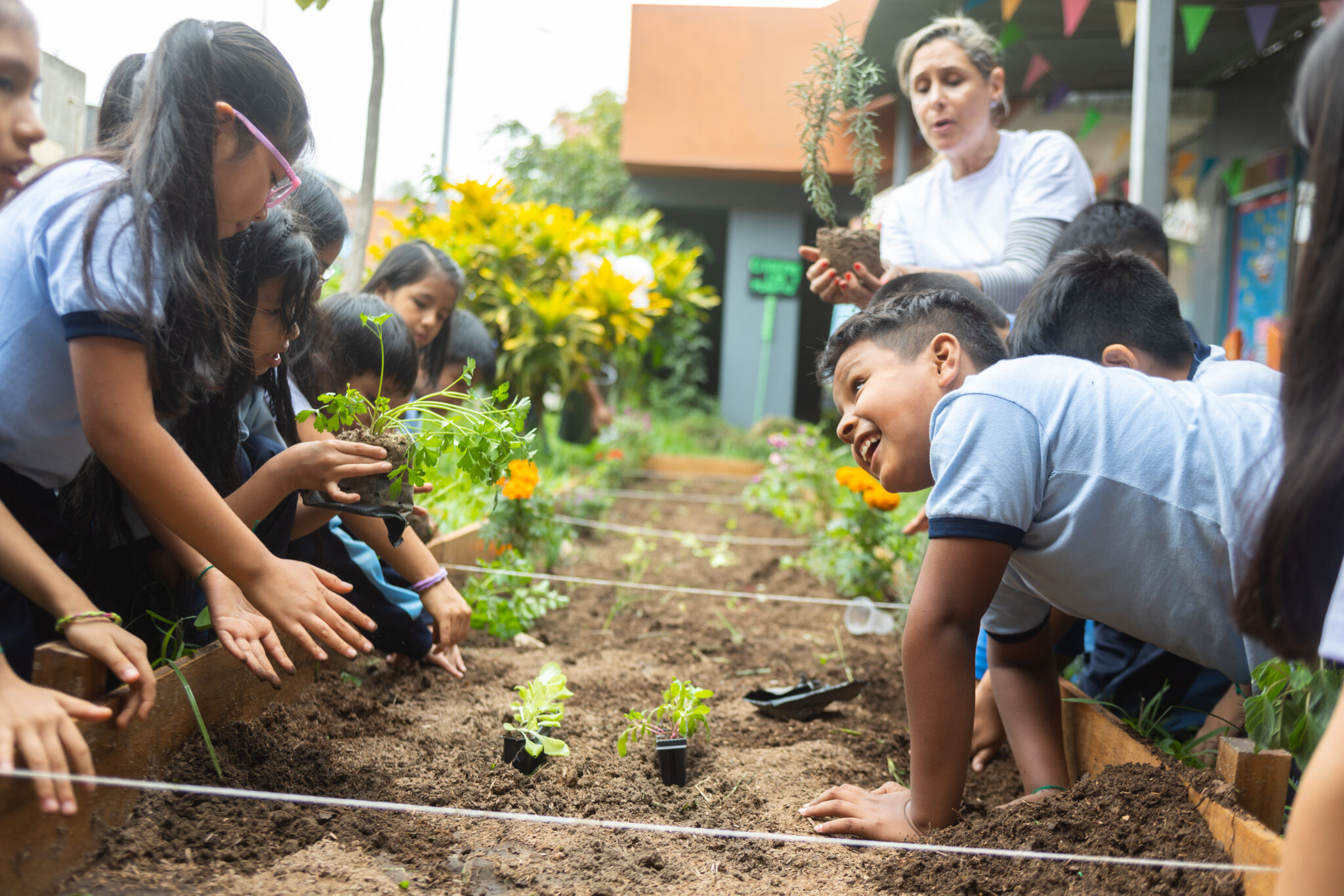 Biohuertos: Cultivando Sostenibilidad en las Escuelas : El Pez en la Luna